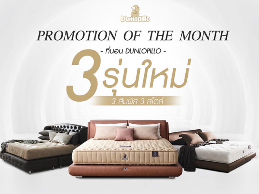 Promotion Of The Month