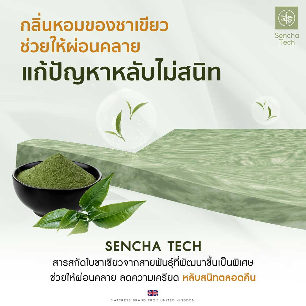 Mattress Dunlopillo : Calvyn | Mattress City Thailand