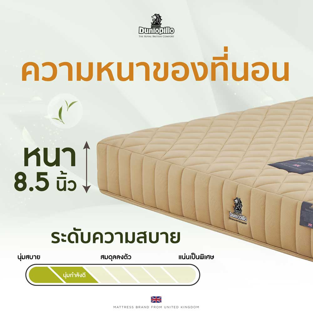 ที่นอน Dunlopillo รุ่น Calvyn | Dunlopillo ประเทศไทย