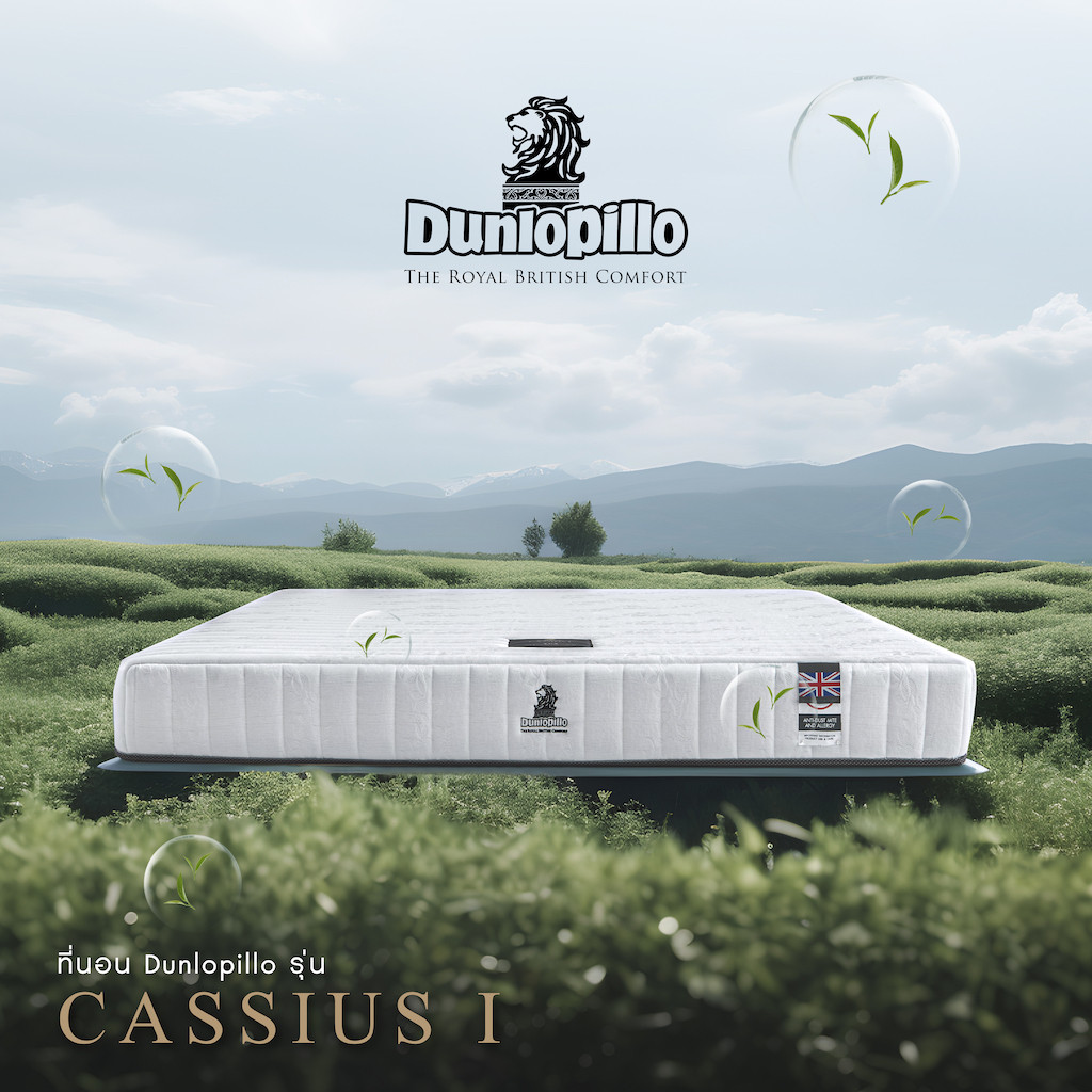 ที่นอน Dunlopillo รุ่น CASSIUS I | Dunlopillo ประเทศไทย